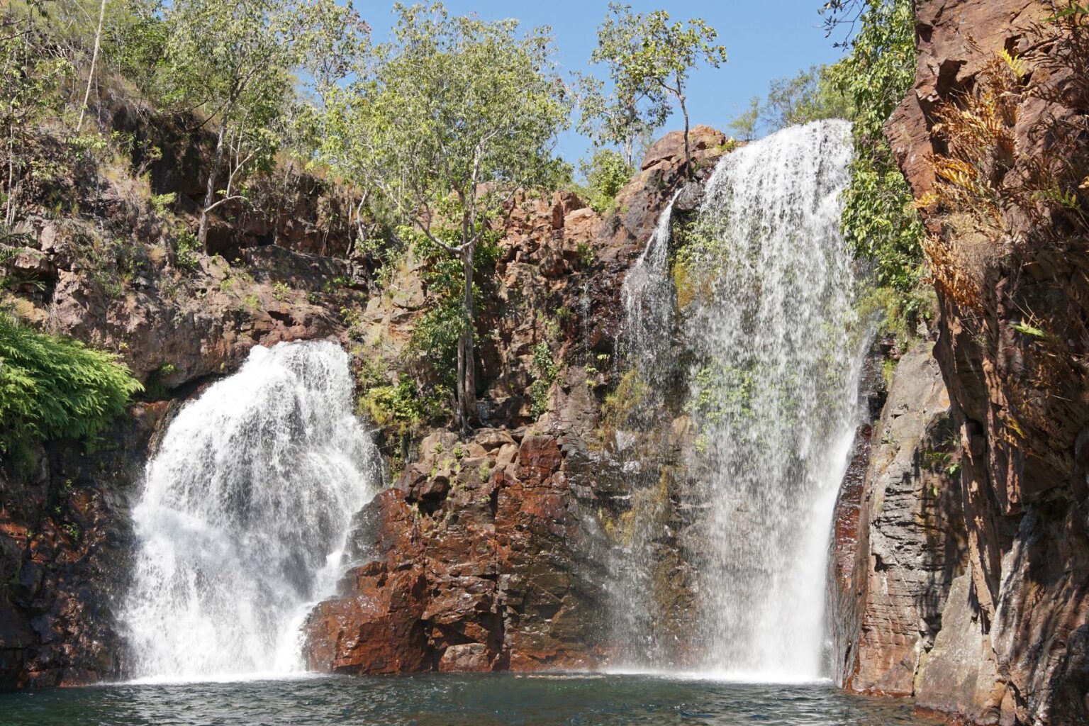 What Goes on in National Parks - Outdoors Queensland