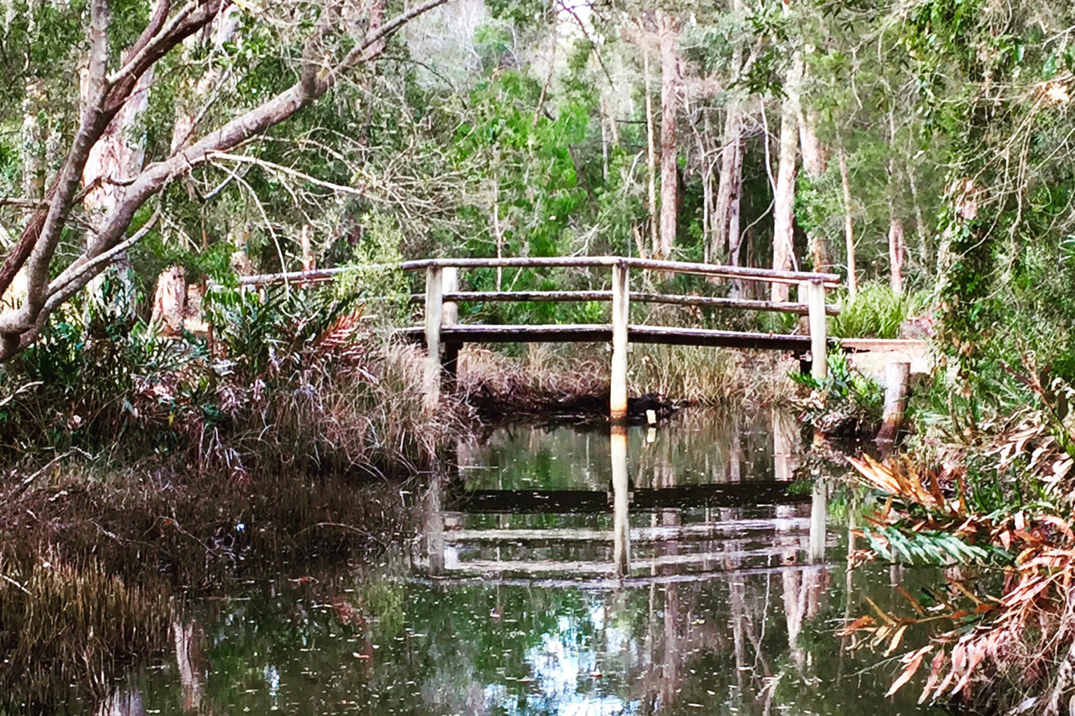 Bridge_over_creek(Squires) - Outdoors Queensland