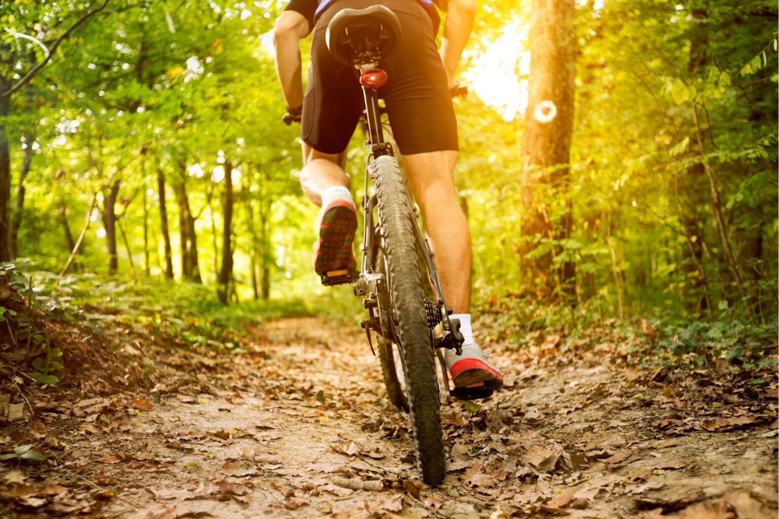 Mountain Biking - Outdoors Queensland